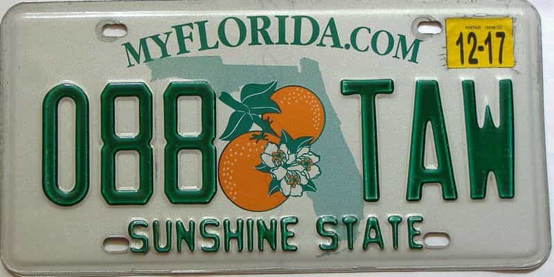 2017 Florida (#16021) for sale - The Tag Dr. Store