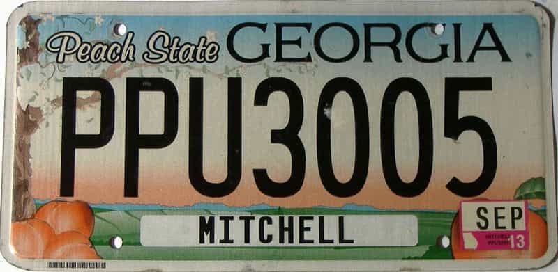 2013 Georgia Counties (Mitchell) (#16121) for sale