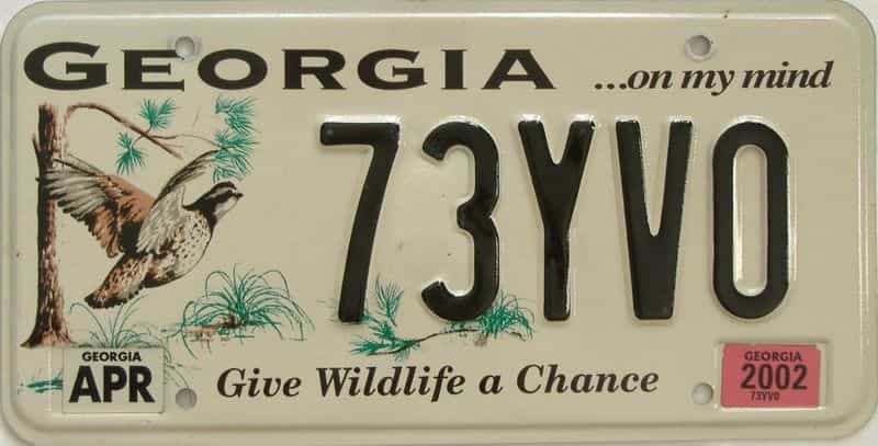 2002 Georgia (Natural) (#2293) for sale - The Tag Dr. Store