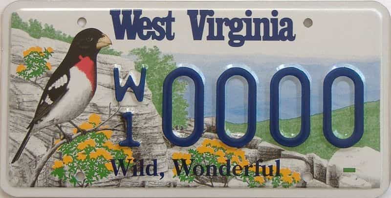 West Virginia (Sample) (#7599) for sale - The Tag Dr. Store