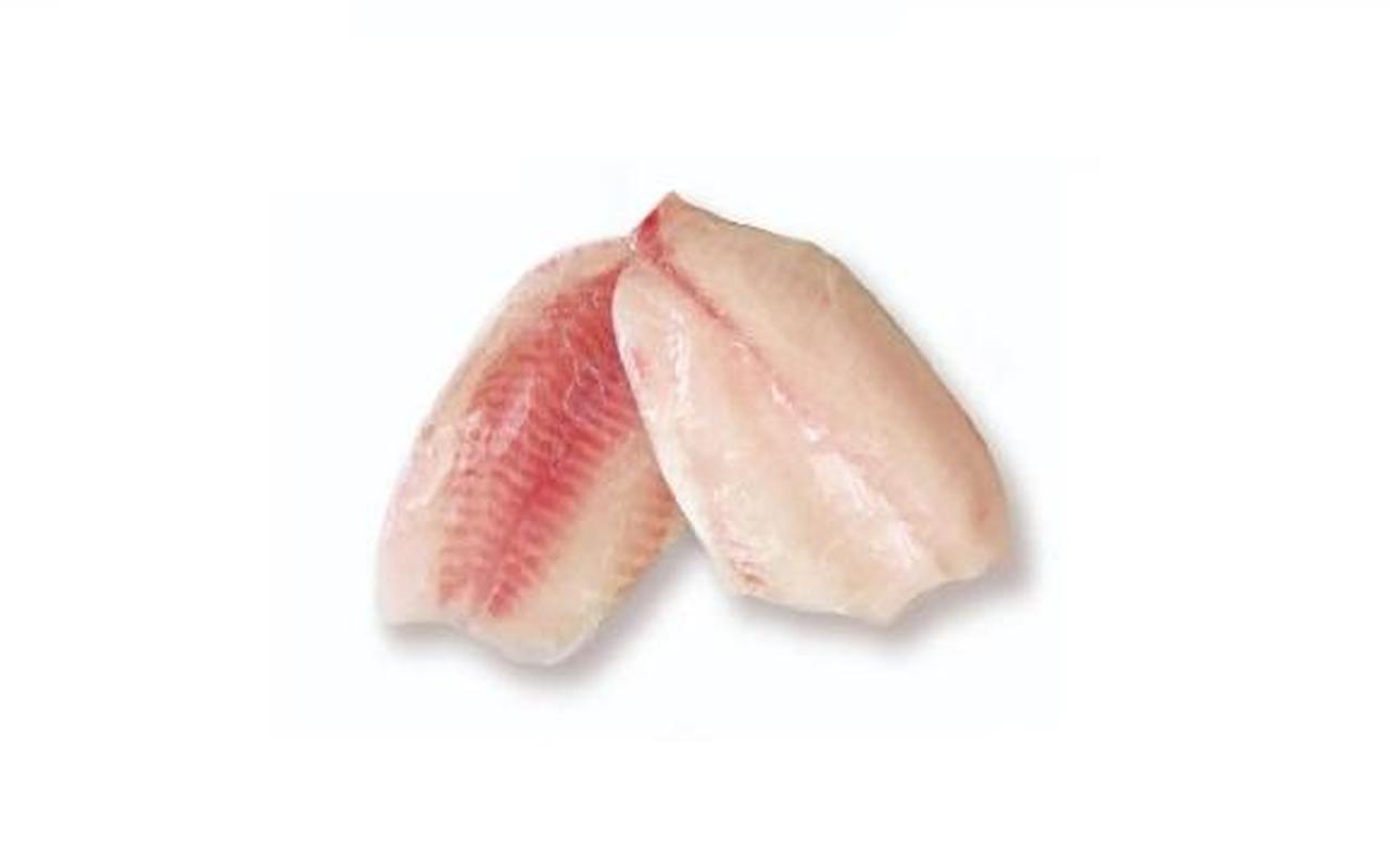 Filete de Tilapia Congelado | Takami