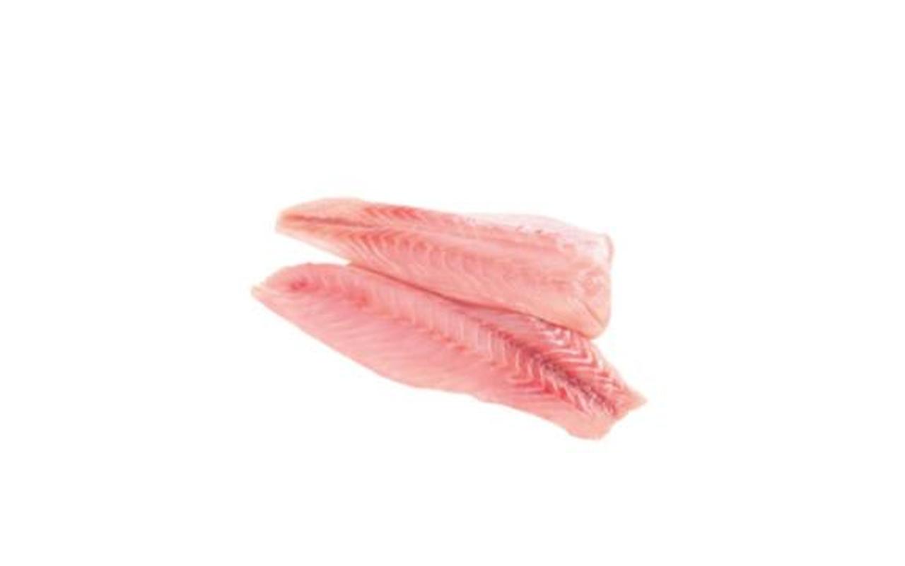Filete de Corvina Fresco | Takami
