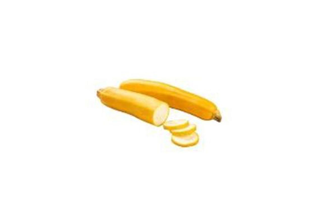 Zucchini Amarillo | Takami