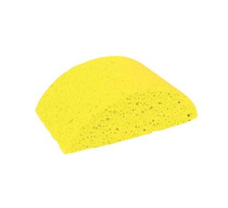 Turtle Back Sponge at TSW