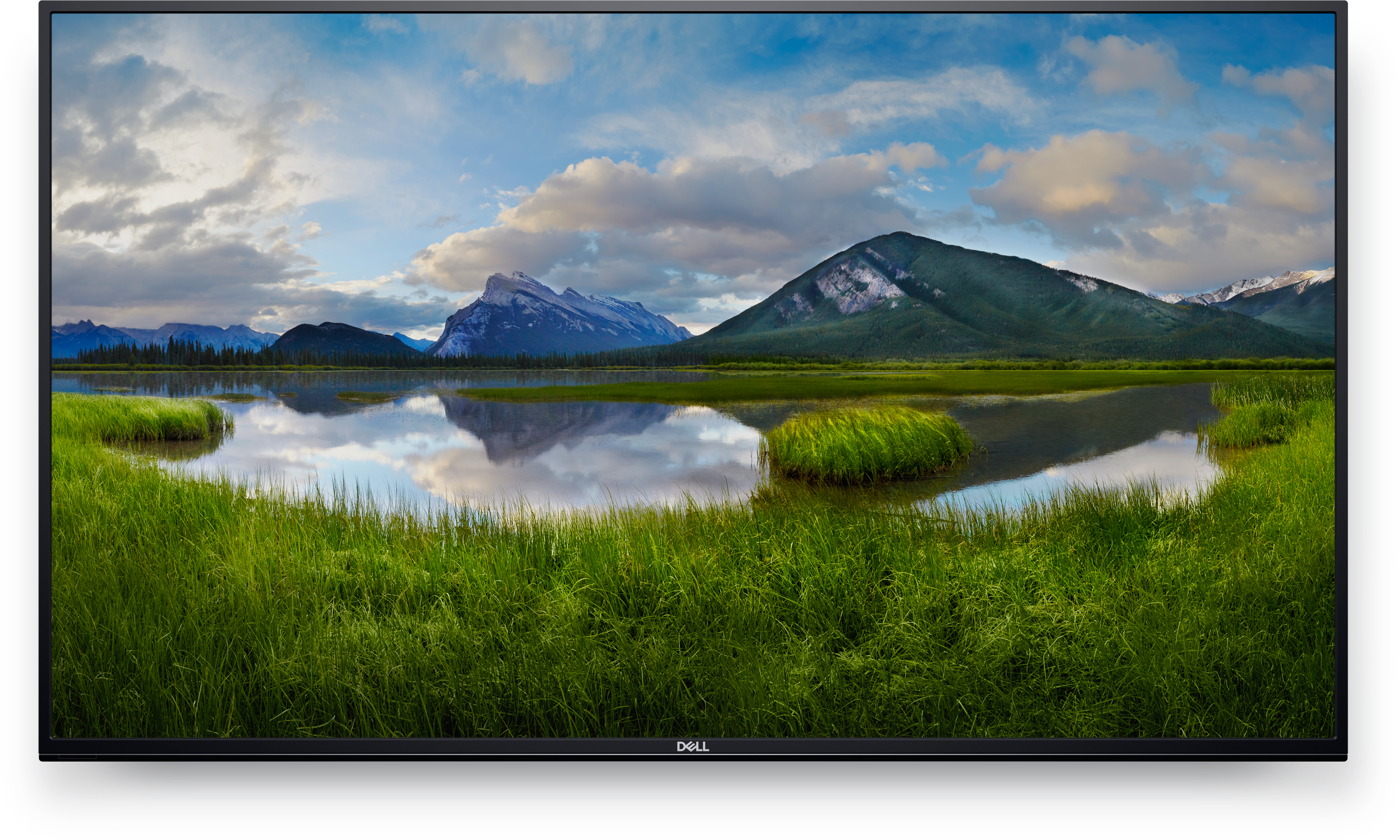 Dell C5519QA 4K UHD 55in Digital Signage Monitor – Packard SA (Pty) Ltd ...