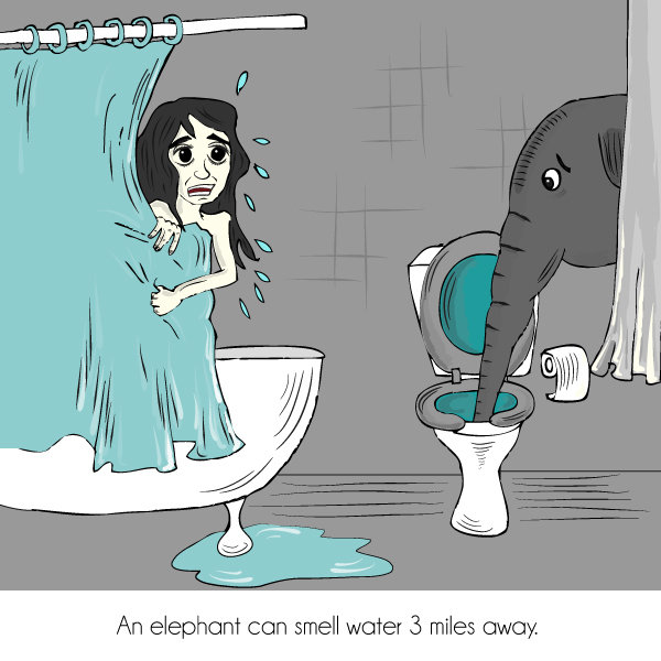 Illustrations for Neatorama - By Maya Assad- 1868_maya :: Tasmeem ME