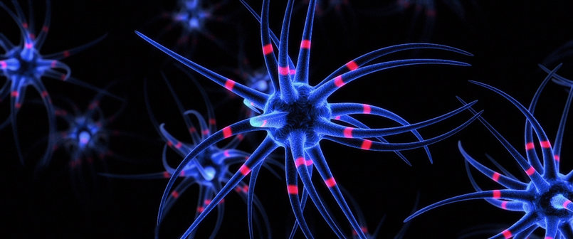 Brain Cell - By Kareem Osama- 110135_kareem :: Tasmeem ME