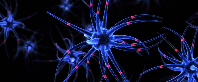 Brain Cell - By Kareem Osama- 110135_kareem :: Tasmeem ME