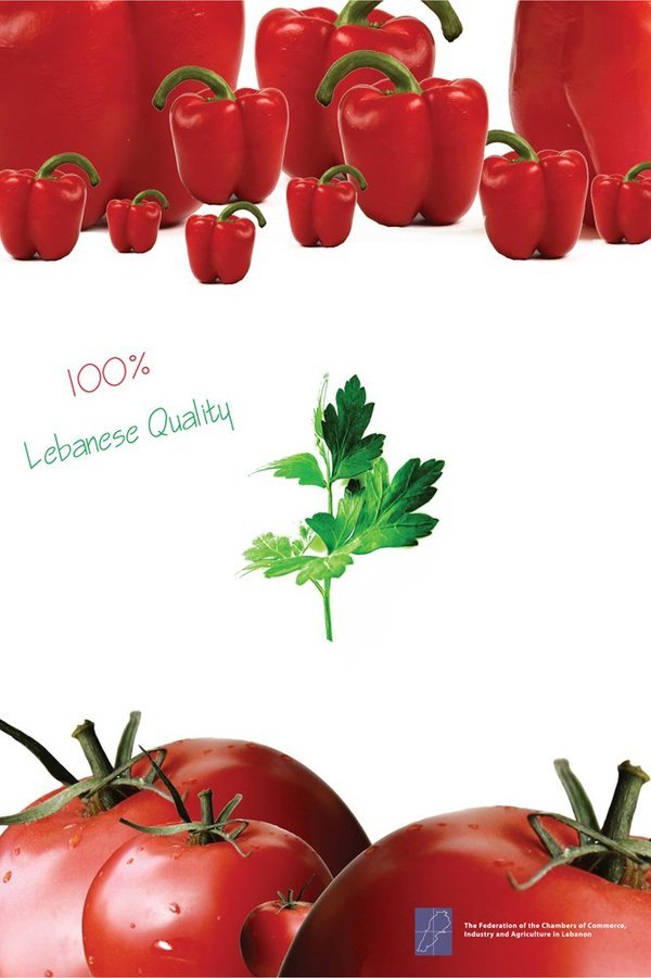 lebanese fruits - By Mahmoud Bizri- 4413_mahmoud :: Tasmeem ME