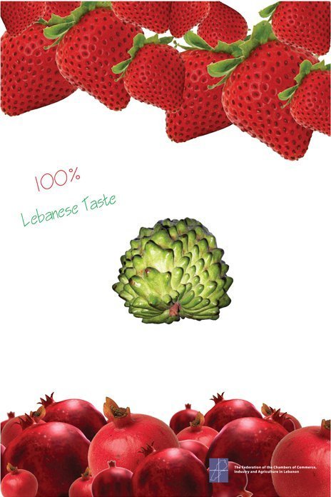 lebanese fruits - By Mahmoud Bizri- 4413_mahmoud :: Tasmeem ME