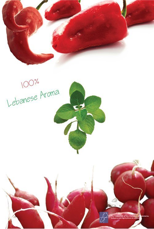 lebanese fruits - By Mahmoud Bizri- 4413_mahmoud :: Tasmeem ME