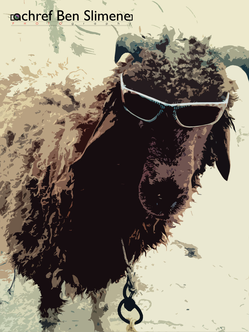 Sheep Thug Life - By Ben Slimene Achref- benslimeneachref114288 ...