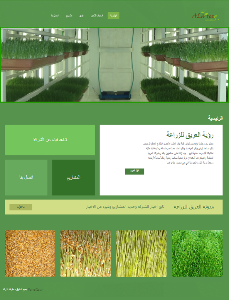مجموعة من مواقع انترنت قمنا بعملها من تصميم زياد محمد عبدالسلام- 982995 ...