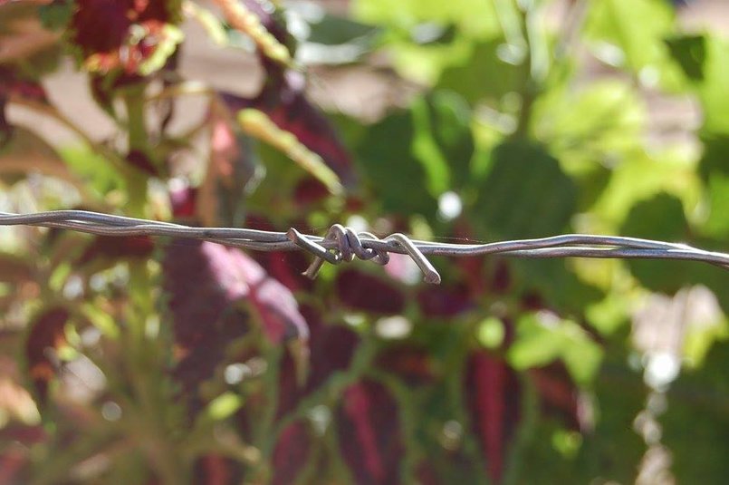 خط الرجوع من تصميم Nabil Yousfi- nabilyousfi105092