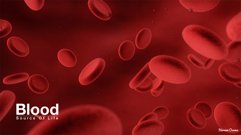 Blood Source OF Life - By Kareem Osama- 110135_kareem :: Tasmeem ME