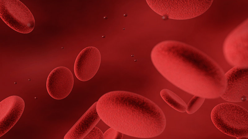 Blood Source OF Life - By Kareem Osama- 110135_kareem :: Tasmeem ME