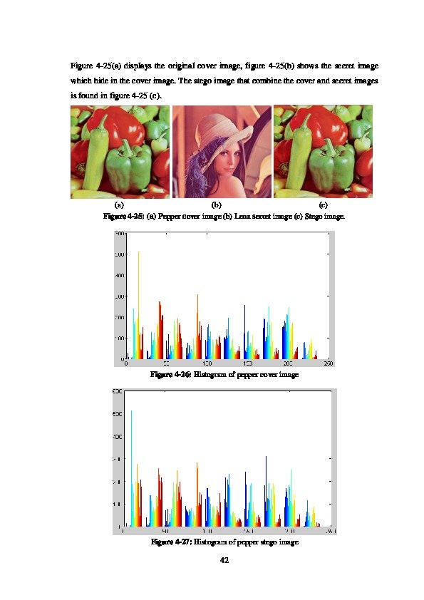 Secure 24 bit Color Image Steganography technique Using Random Numbers من تصميم Faten Basheer ...