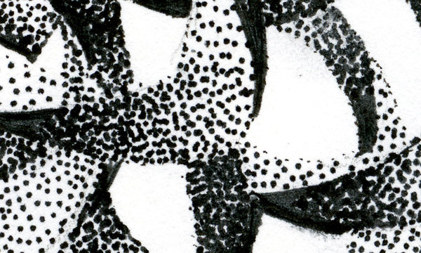 Zoomorphic Peacock in Arabic Calligraphy من تصميم Maece Seirafi- 4342_maece