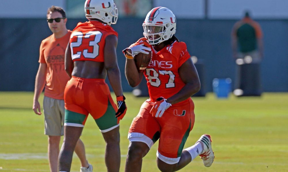 Miami perd TE Michael Irvin II pour les 4 prochains mois – The Blue Pennant