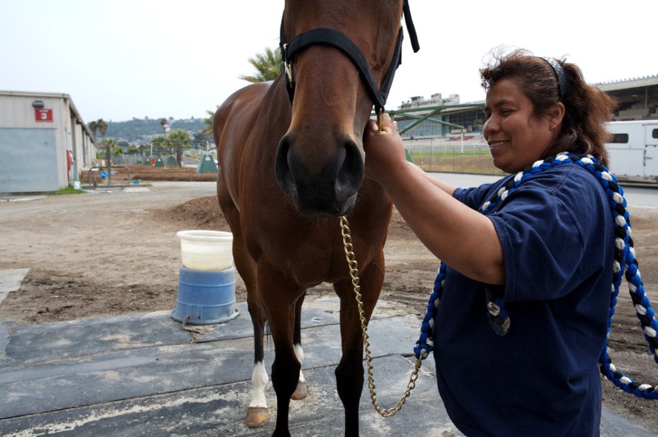 Stable Life | American Documentary