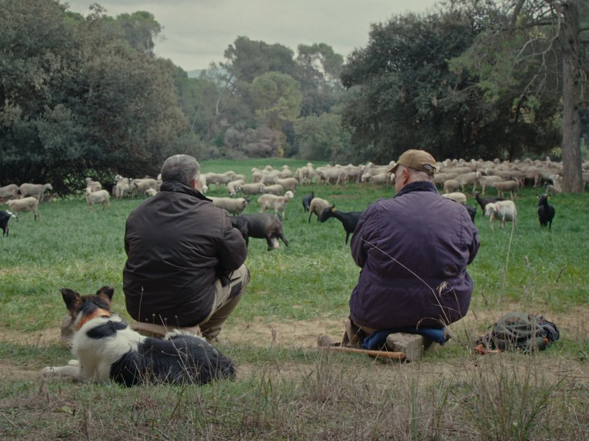 Fauna | American Documentary