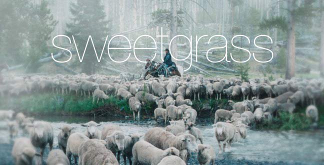 Sweetgrass | American Documentary