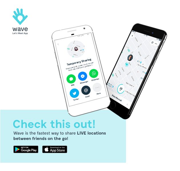 Startup: Wave Application