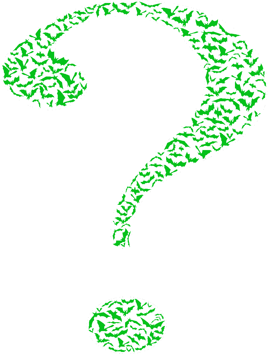 The Riddler Logo