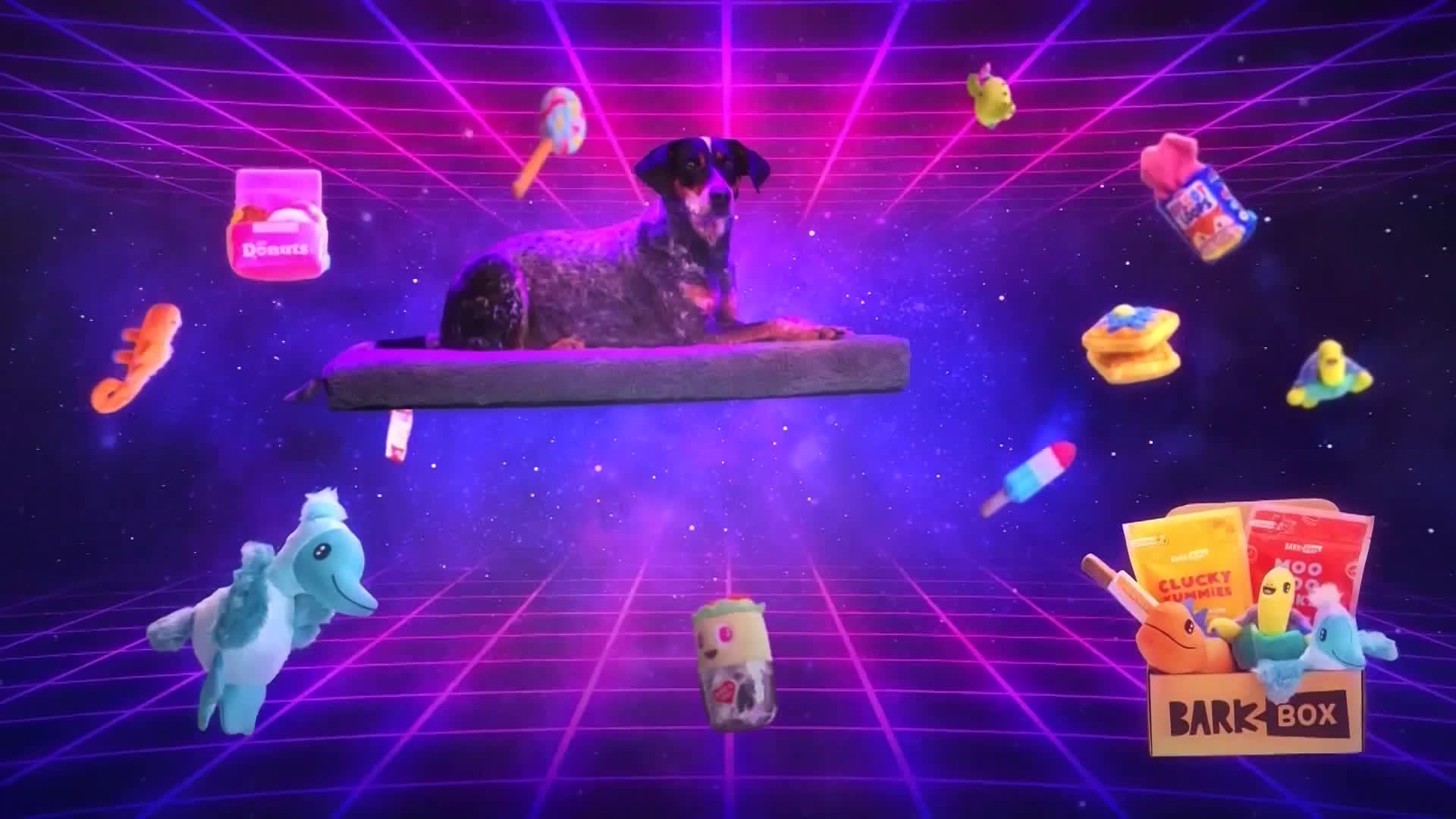 Barkbox | Advertising Profile | See Their Ad Spend! | MediaRadar