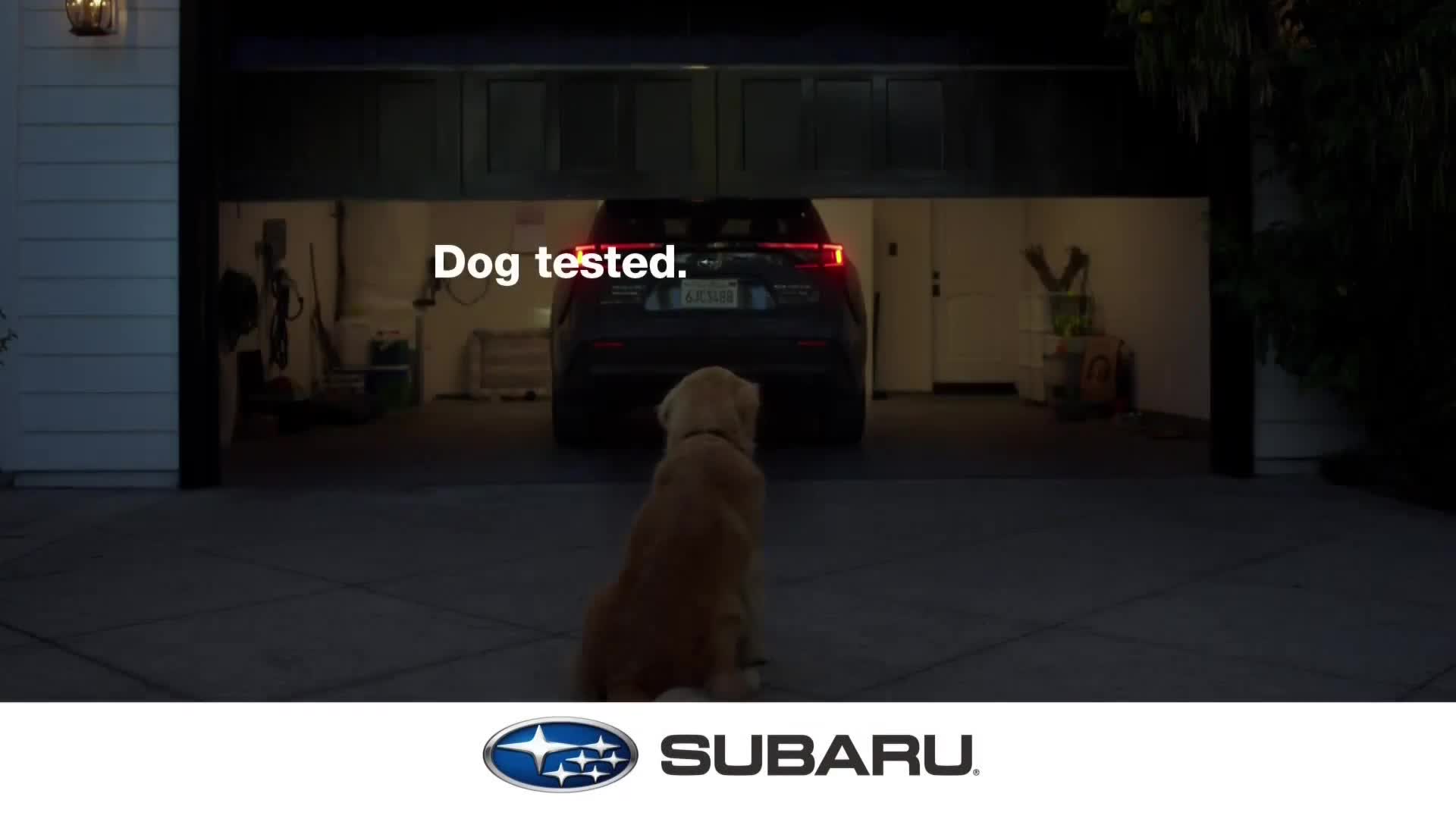 Subaru of America | Advertising Profile | See Their Ad Spend! | MediaRadar