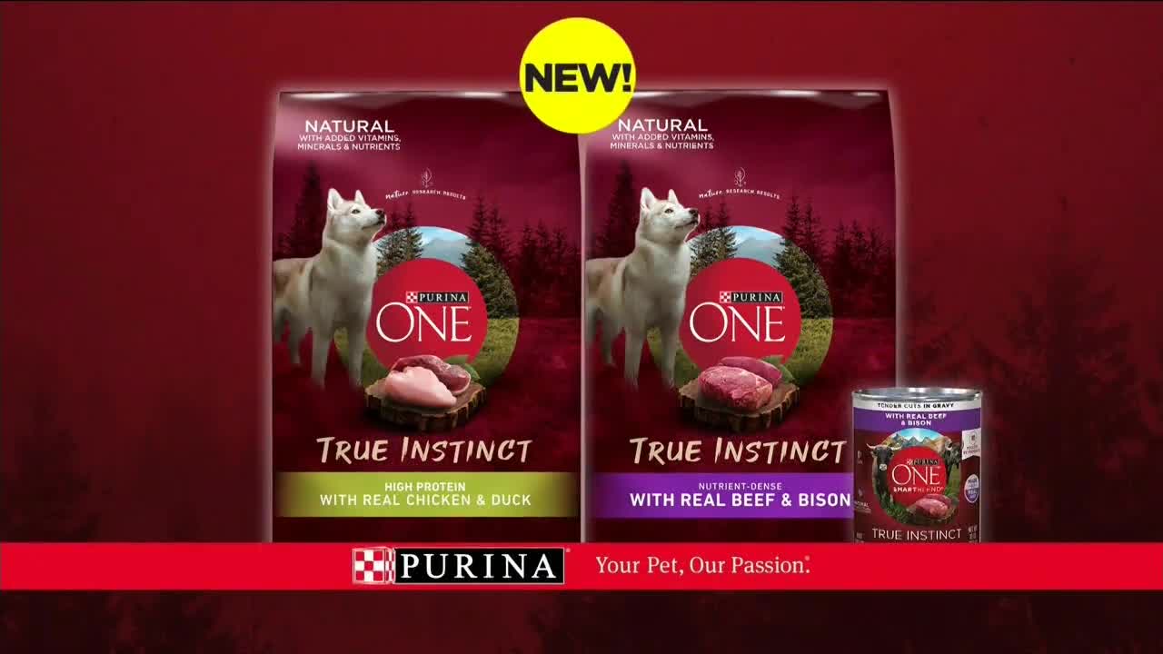 Purina ONE | Advertising Profile | See Their Ad Spend! | MediaRadar