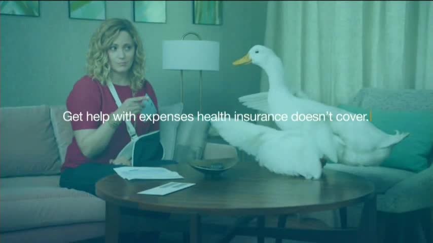 Aflac | Advertising Profile | See Their Ad Spend! | MediaRadar
