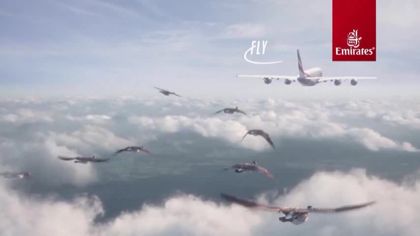 Emirates Airlines | Advertising Profile | See Their Ad Spend! | MediaRadar