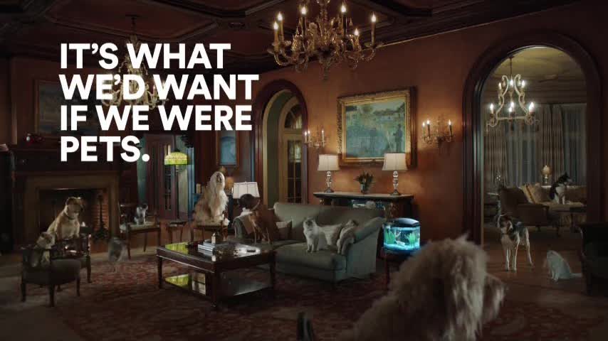 PetCo | Advertising Profile | See Their Ad Spend! | MediaRadar