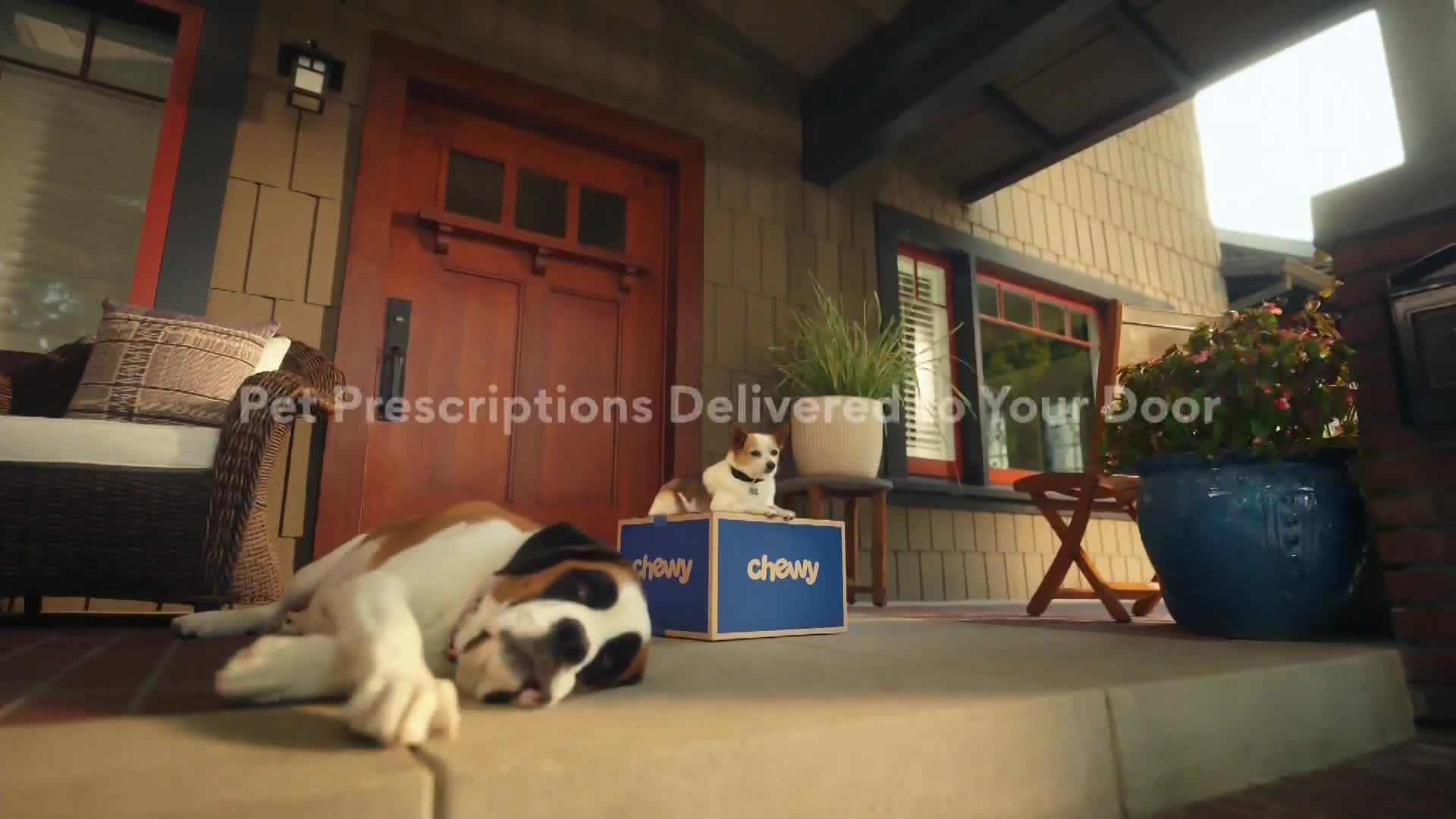 PetSmart | Advertising Profile | See Their Ad Spend! | MediaRadar