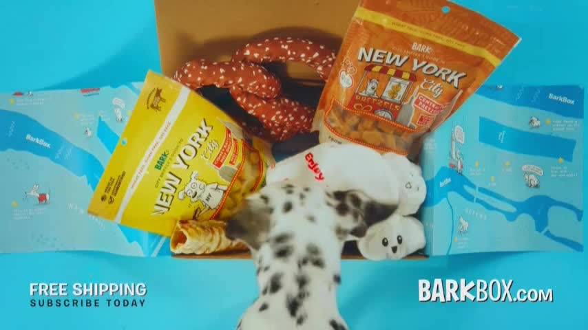 Barkbox | Advertising Profile | See Their Ad Spend! | MediaRadar