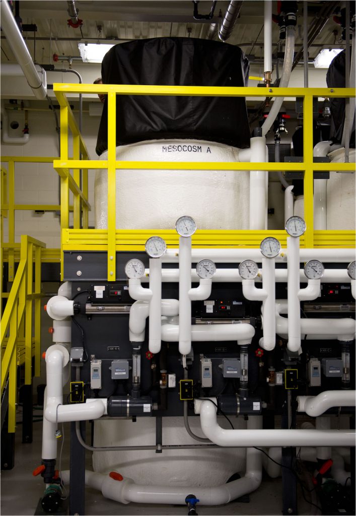 FRP Platforms - Tenji Aquarium Design + Build