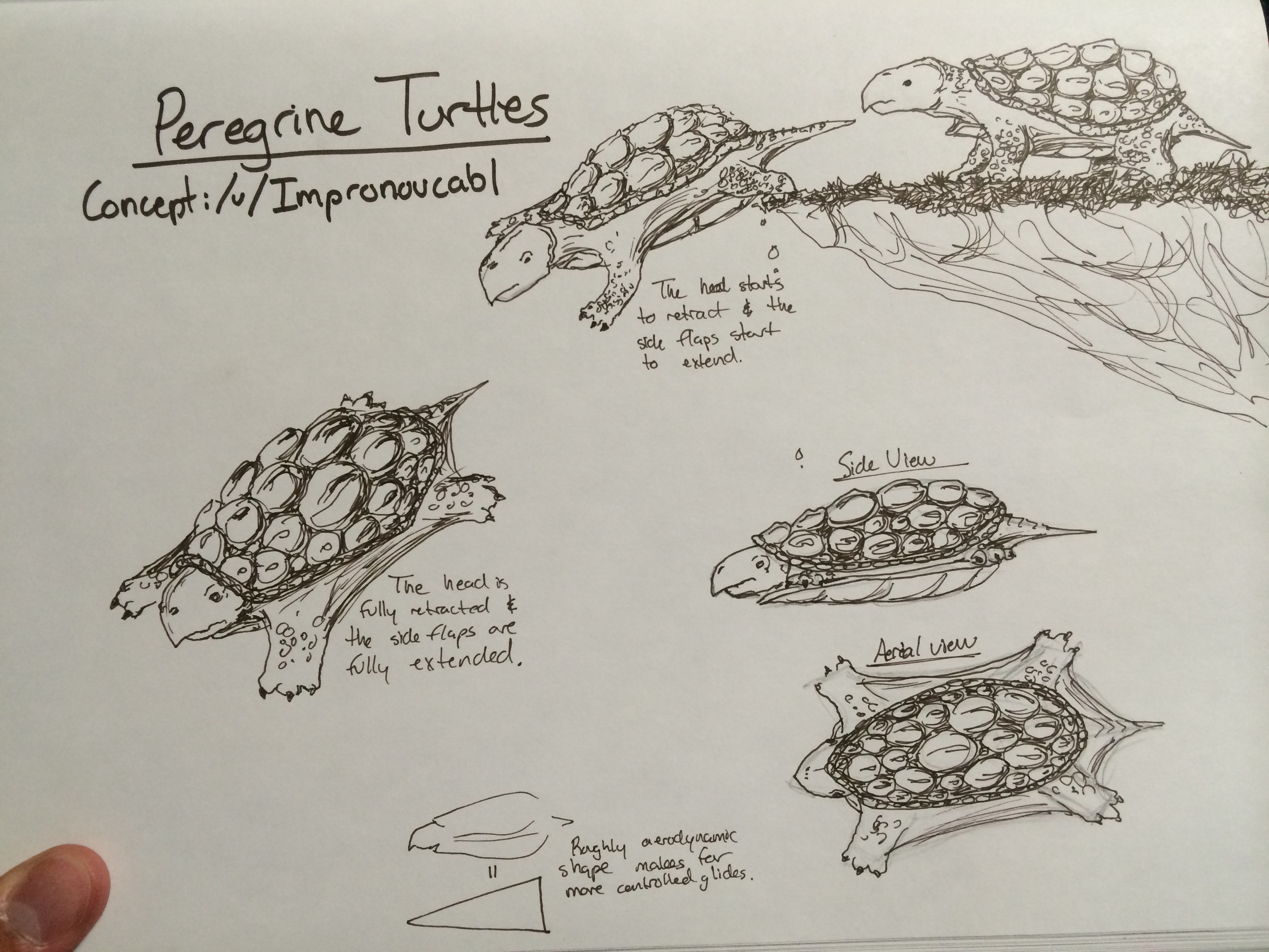 Ocean, Earth and Sky : r/Dawn_of_Worlds