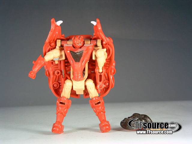 Razorbeast Basic Class | Transformers Beast Wars | Hasbro