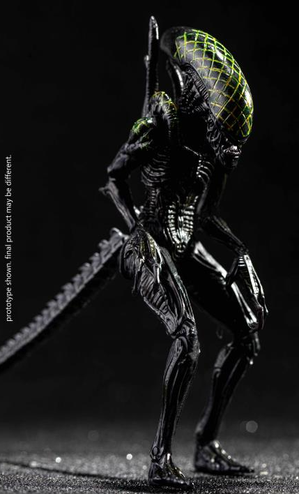 Grid Alien PX Previews Exclusive 1:18 Scale | Alien Vs Predator | Hiya Toys