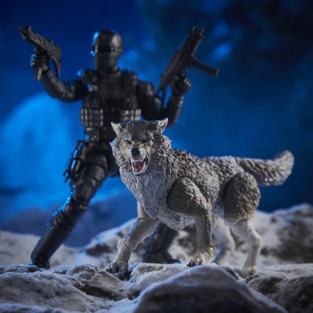 Snake Eyes and Timber Wolf 6-Inch Scale | G.I. Joe Classified Series