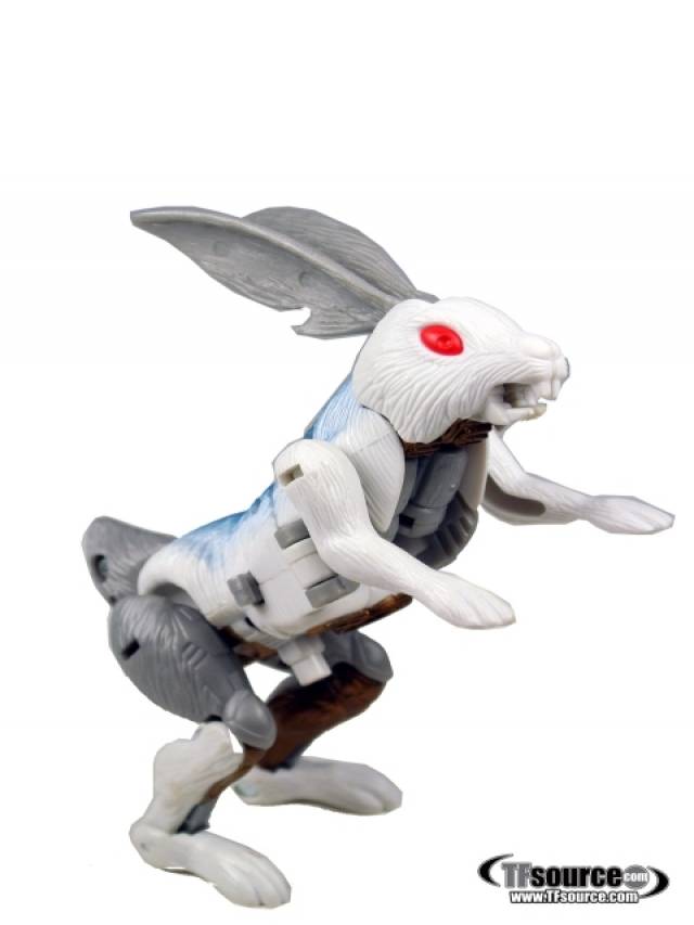 C-31 Stampy Basic Class | Transformers Beast Wars Neo | Takara Tomy