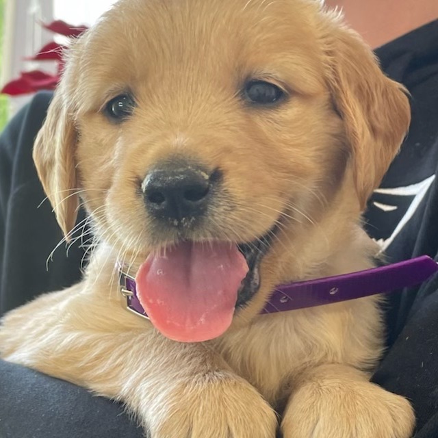 Skye-Daisy Quinn | USA | The Fashion Hero Kids