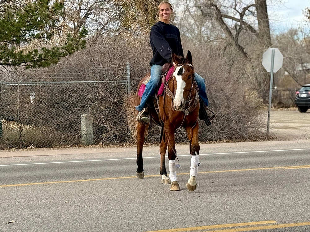 Roscoe | Thehorsebay.com