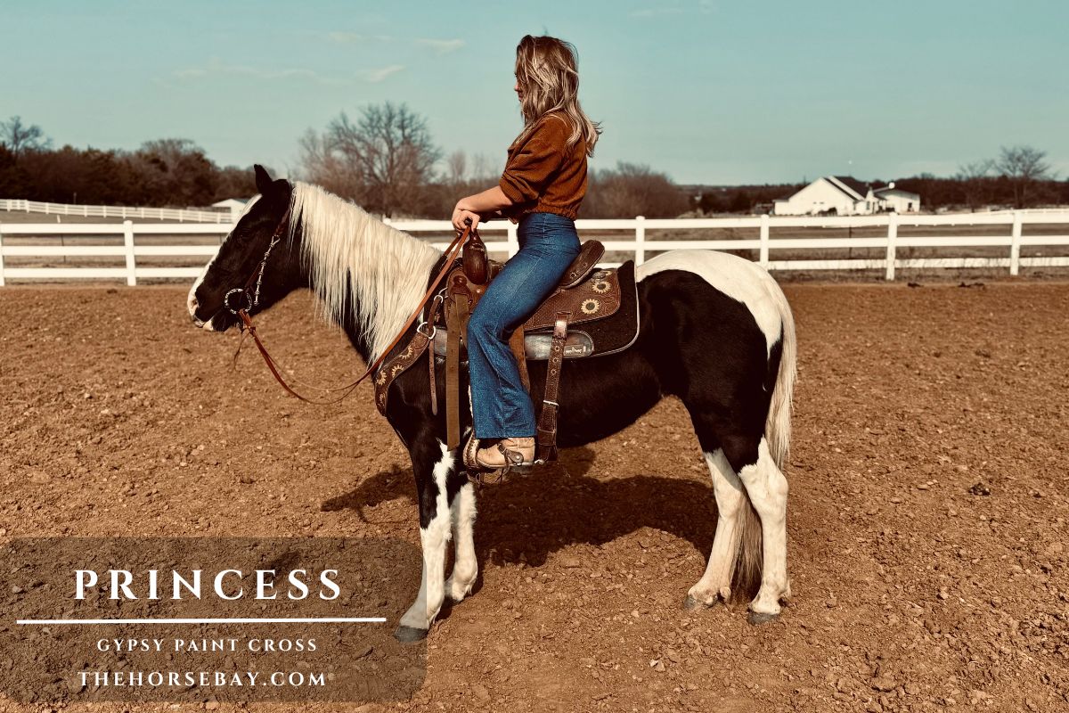 Princess | Thehorsebay.com