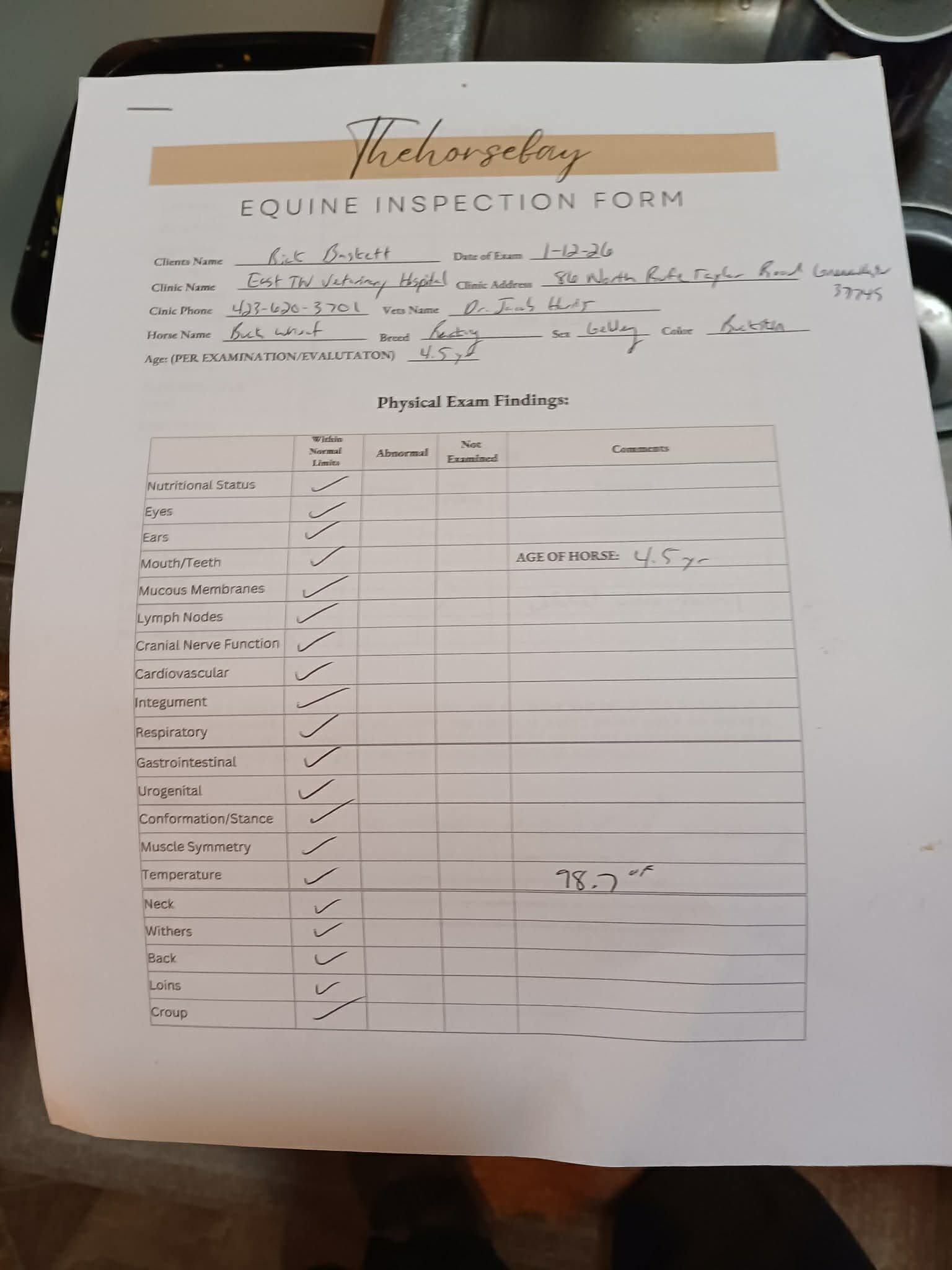 Buckwheat | Thehorsebay.com