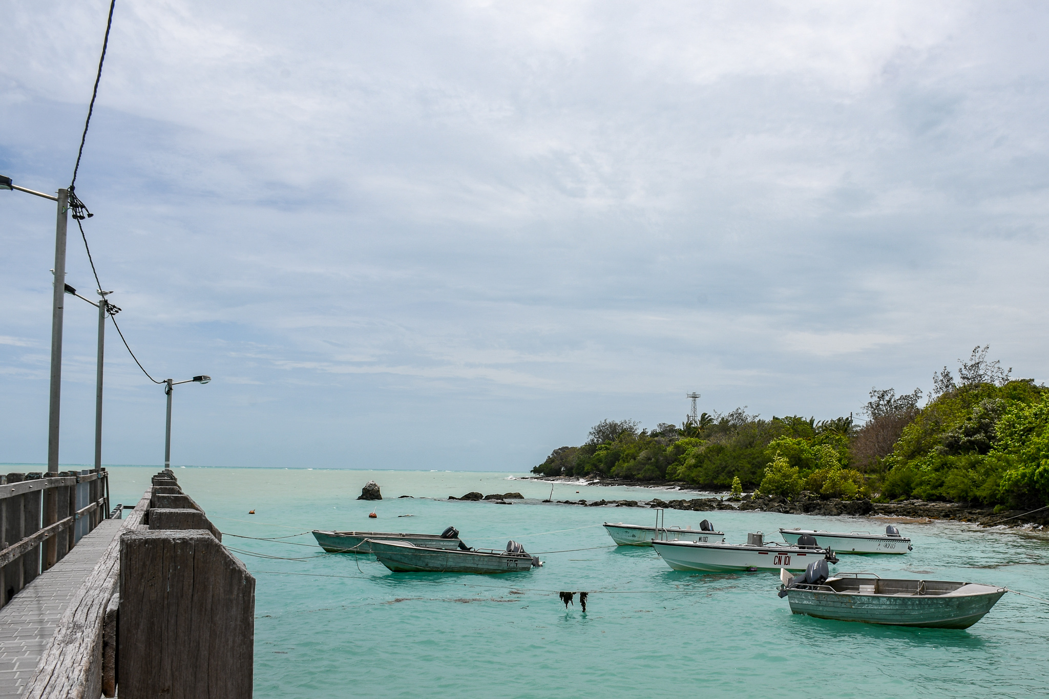 Coronavirus hits Torres Strait's traditional fishers as rock lobster ...
