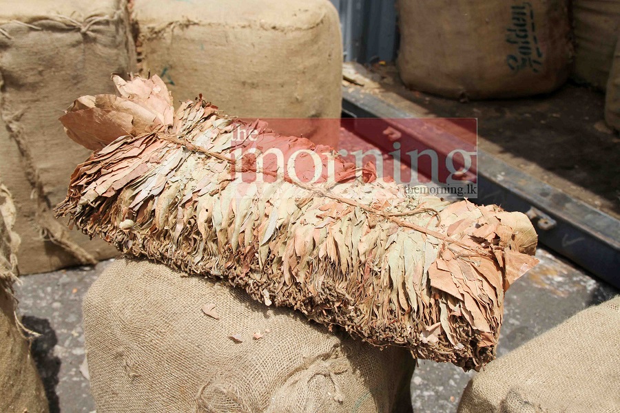 Customs detains illegal consignment of beedi leaves - The Morning - Sri ...