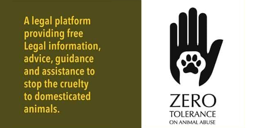 Zero Tolerance Against Animal Abuse - The Morning - Sri Lanka News