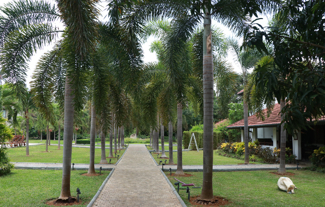 Fox Resorts Jaffna: An idyllic escape in the heart of Jaffna - The ...